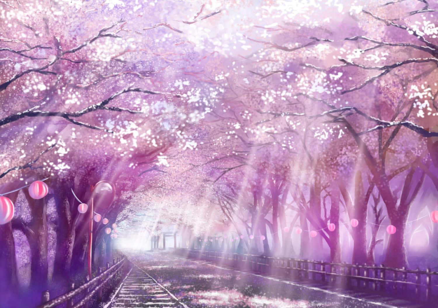 Cherry Blossom Free HD Wallpapers [400+] - HDNiceWallpapers.com