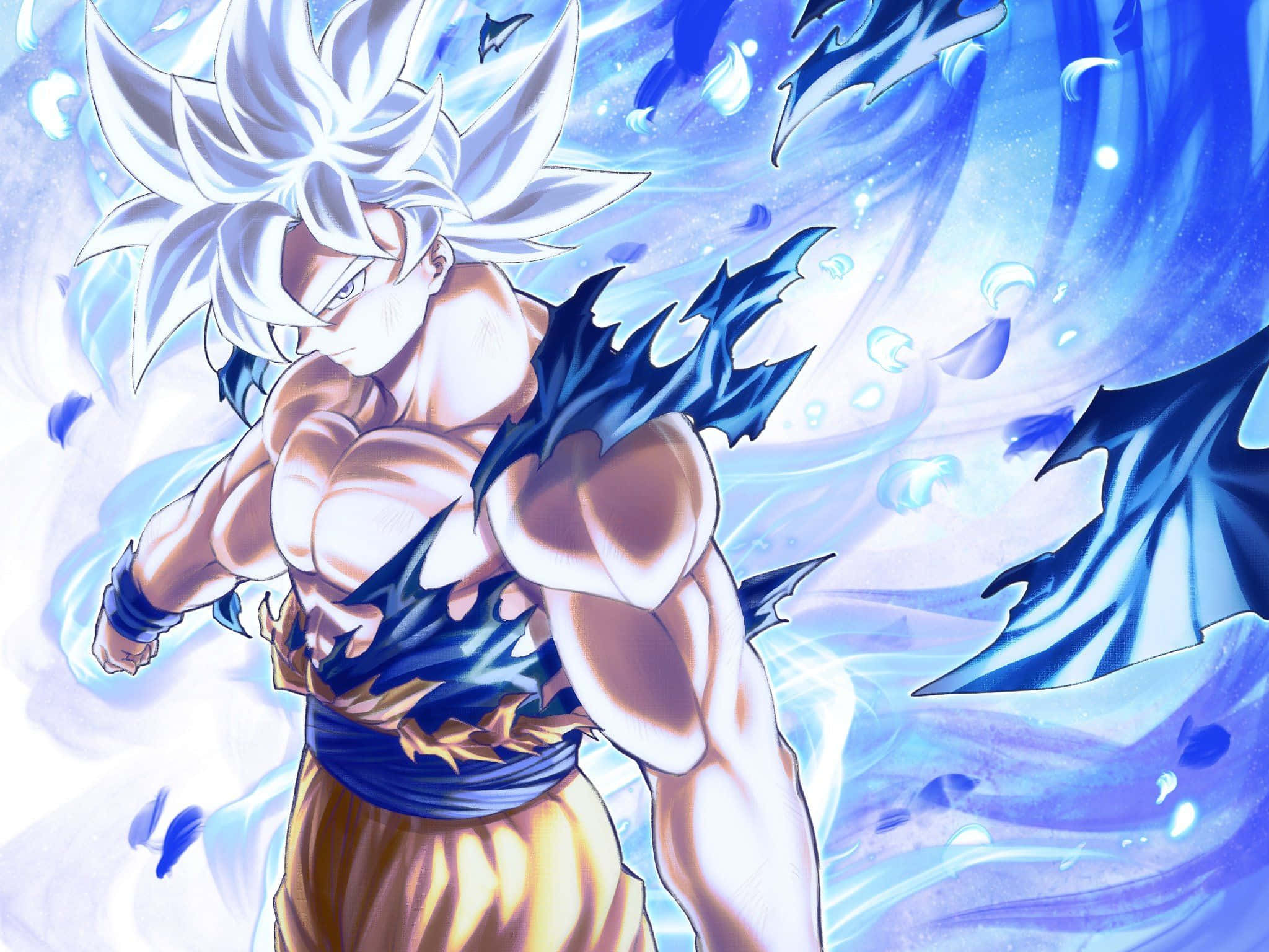 Mui Goku Free HD Wallpapers [100+] - HDNiceWallpapers.com